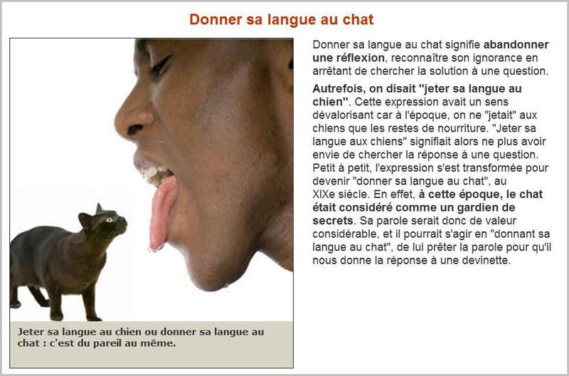 expressions de la langue francaise